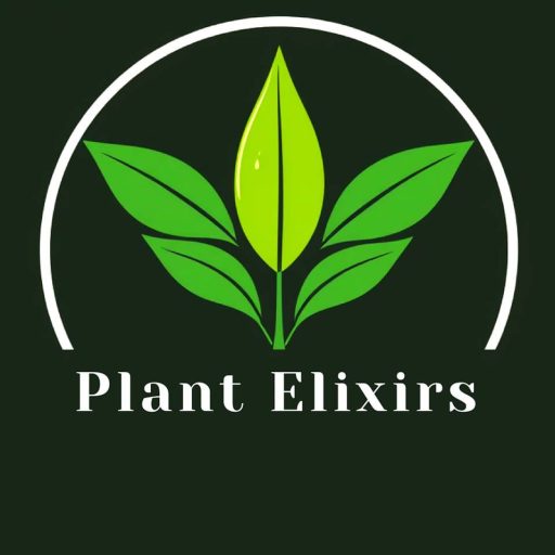Plant Elixir – Your guide to plant-based wellness